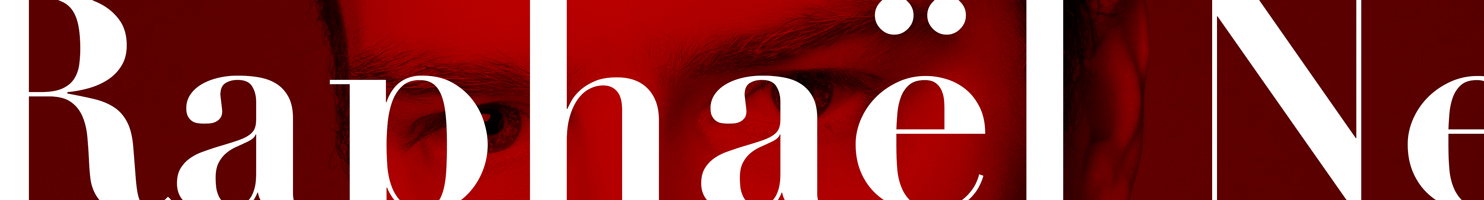 Neal Raphaël – WordPress Aimant